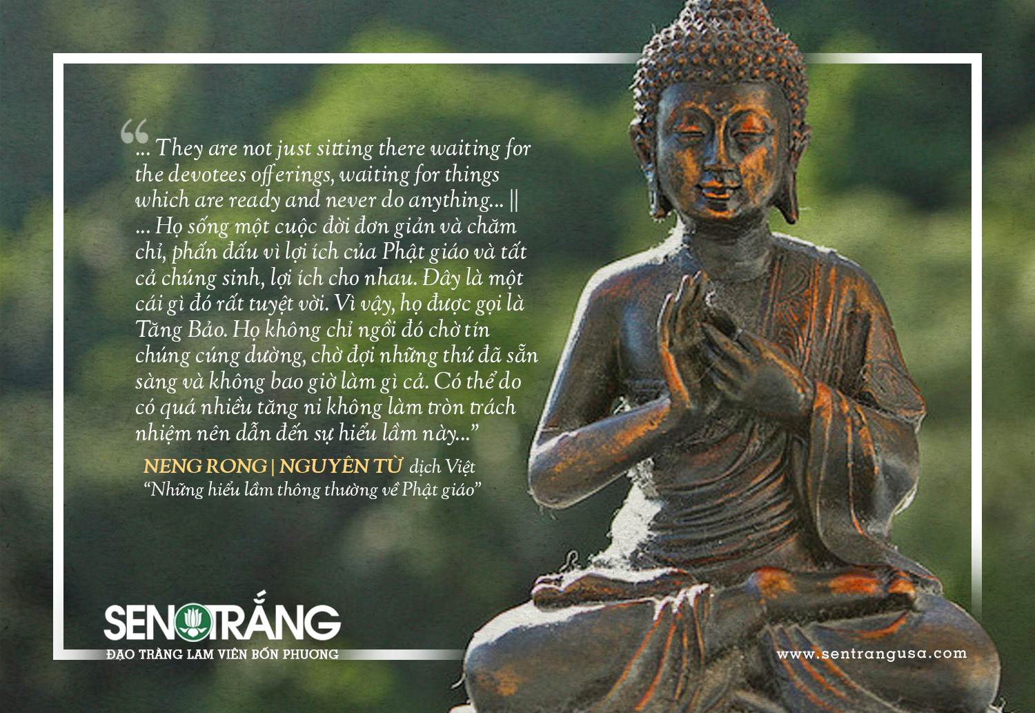 NGUYEN TU NGUYEN DUC THUONG – 4 – Sen Trắng