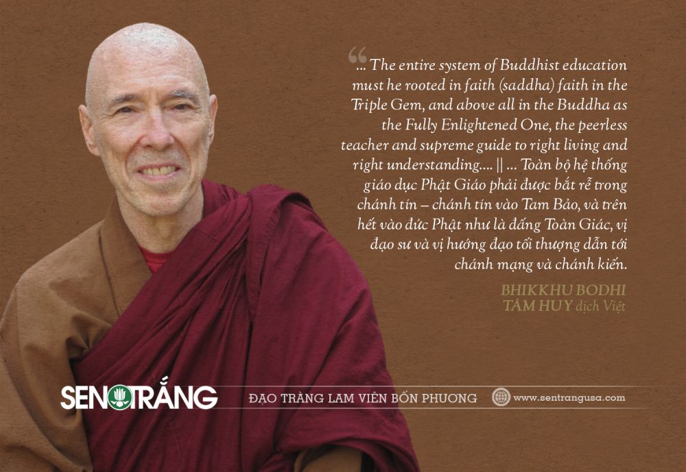 Bhikkhu Bodhi – Sen Trắng