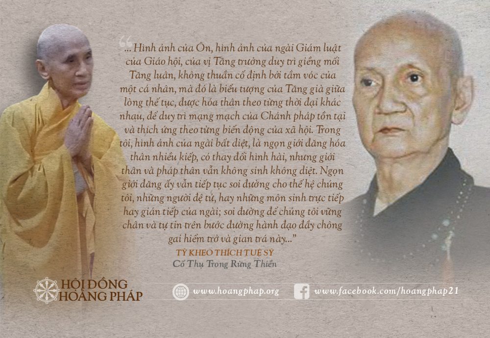 Thích Tuệ Sỹ: Cổ Thụ Trong Rừng Thiền – Sen Trắng